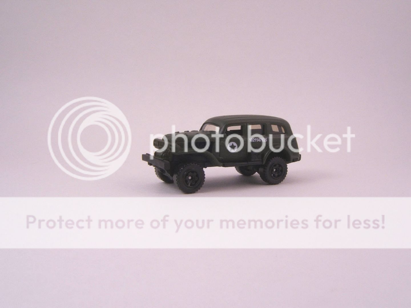 Jungle Crawler/Rock Shocker/Sahara Survivor?? | Hobbyist Forums